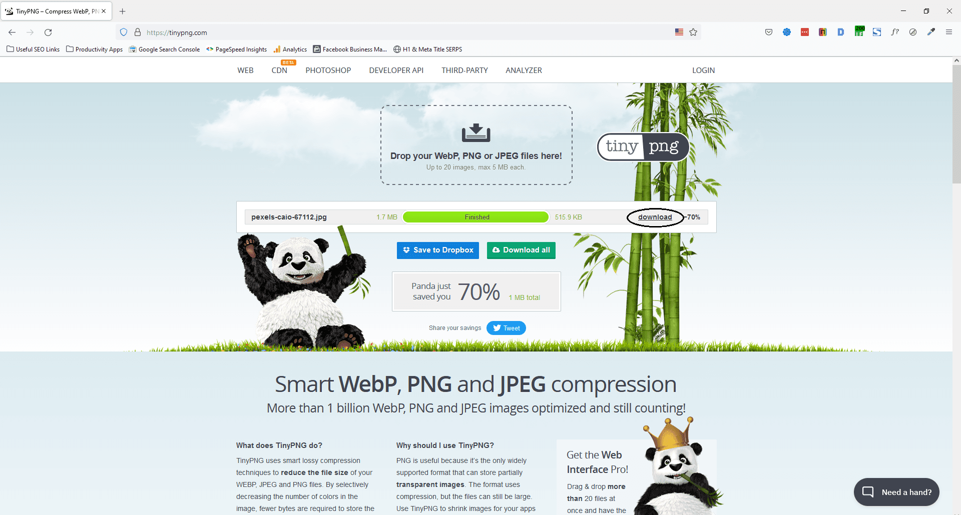 How to resize images without using Photoshop | Engage Web