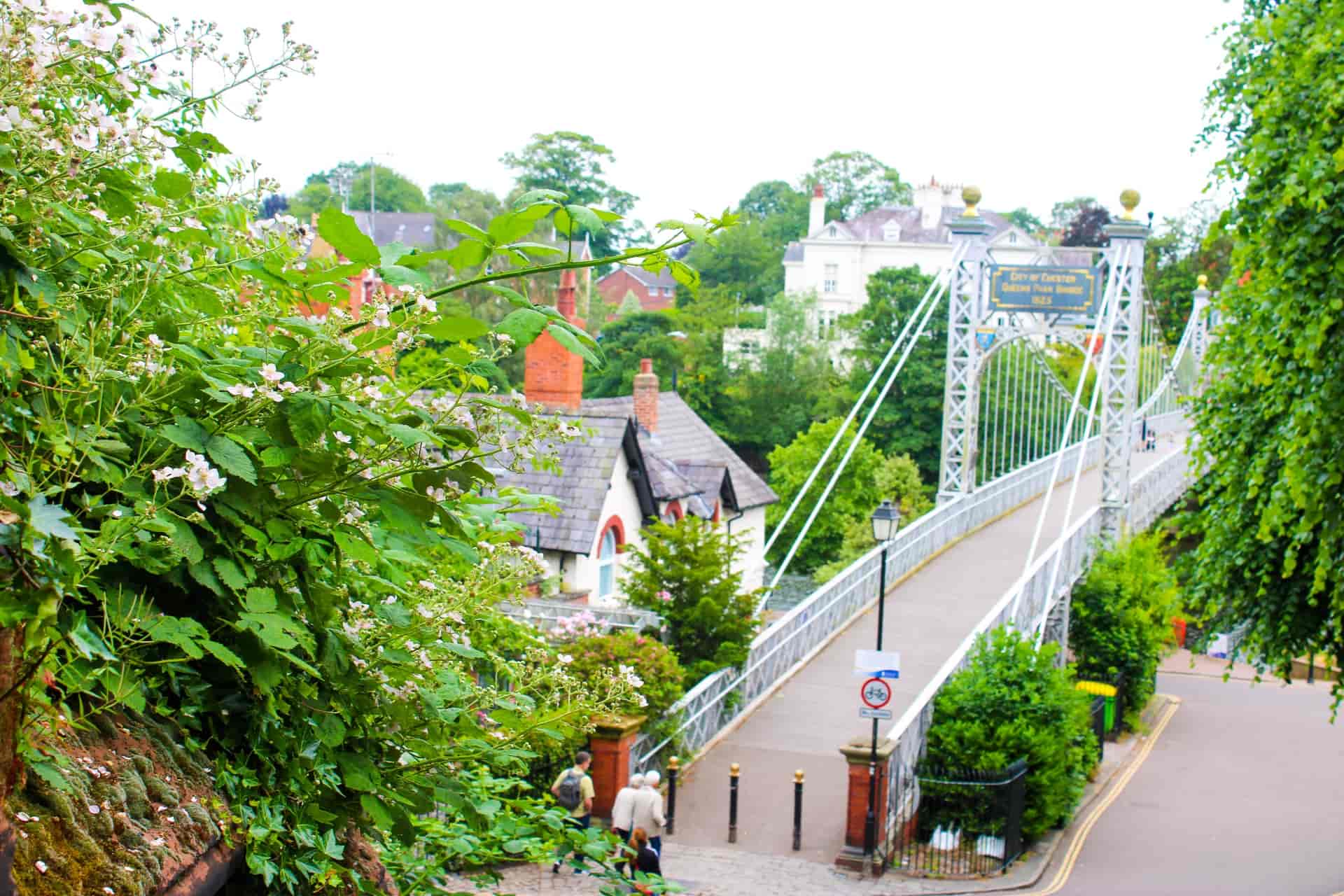 Internet Marketing in Chester | Engage Web