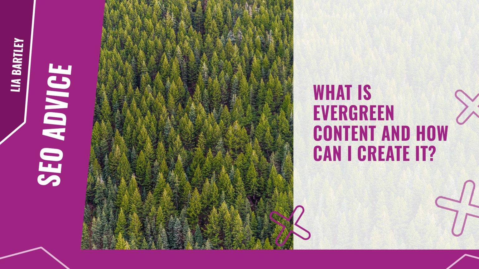What is evergreen content and how can I create it? | Engage Web